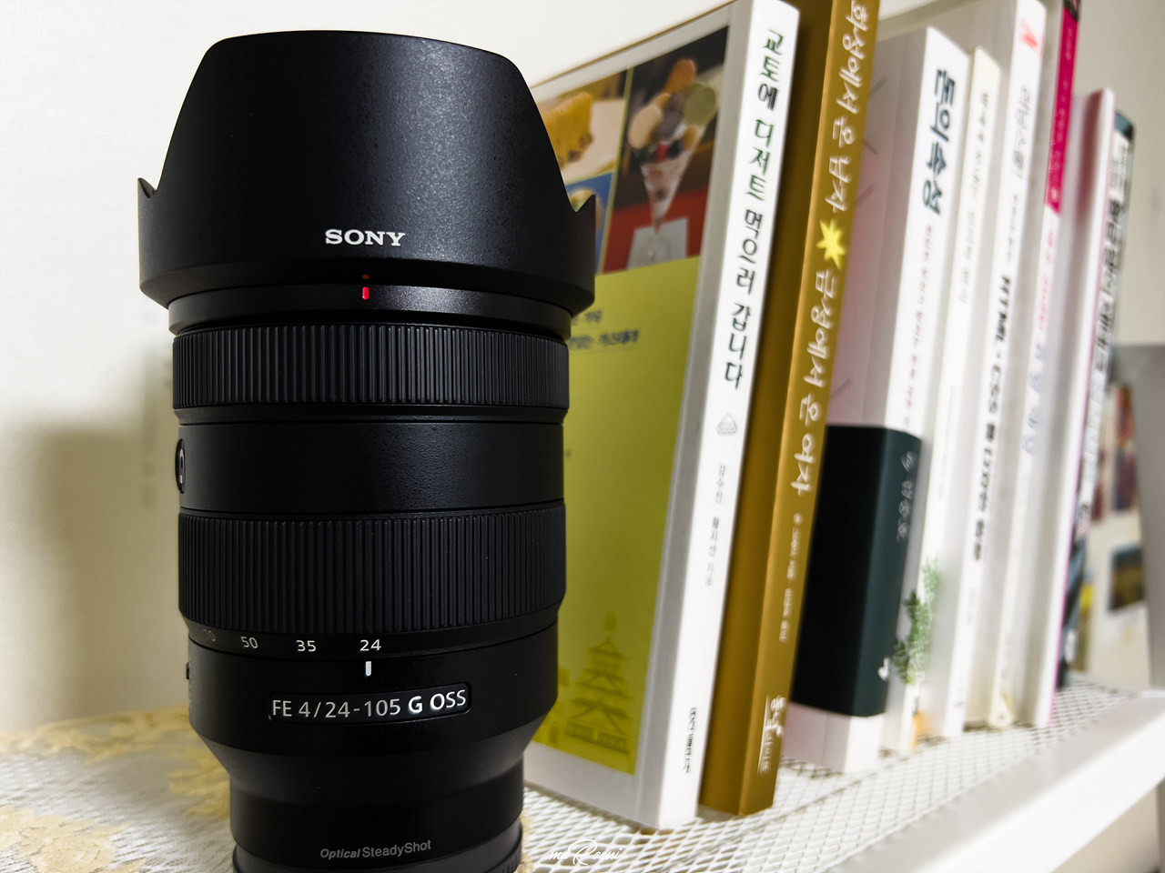 소니 FE 24105G F4 OSS 단 하나의 여행용 렌즈를 선택한다면?