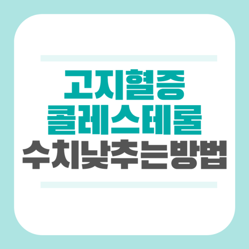 고지혈증 콜레스테롤 수치 2주 만에 낮추는 방법feat엄지의 제왕