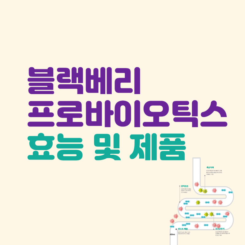 블랙베리 프로바이오틱스 효능 및 제품소개닥터아돌 블랙베리 프로바이오틱스