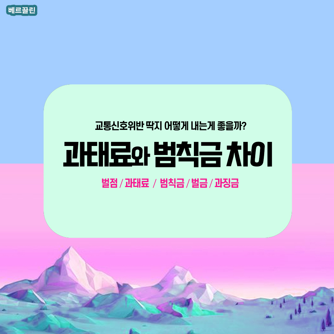 신호위반 과태료 범칙금 차이 교통 벌점딱지 용어 총정리 조회방법