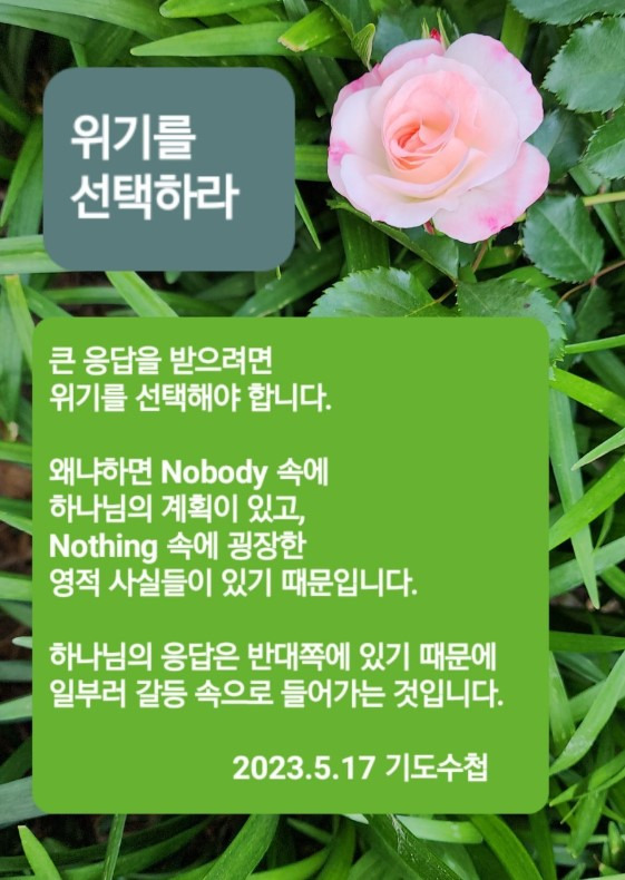 10가지 비밀 위기를 선택하라호스피스 치매예방