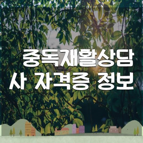 중독재활상담사 자격증 정보