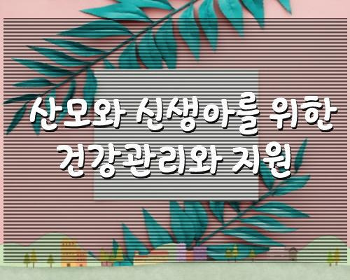산모와 신생아를 위한 건강관리와 지원