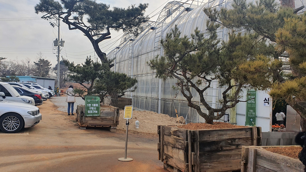 궁평항→국화도→입파도 배시간표 And 나들이추천