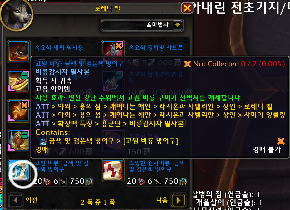 와우업적 고원 비룡 방어구