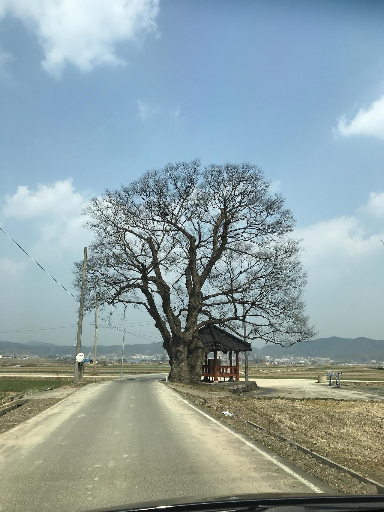 이동헌의 인컨설팅 그림에서 기가 나온다