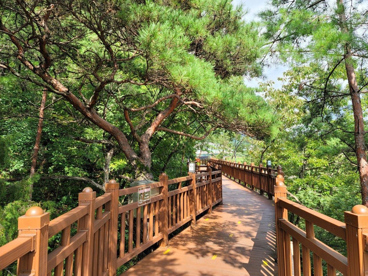 충북 단양 가볼만한곳 단양강 잔도길 이끼터널 소백산 희방폭포 당일치기