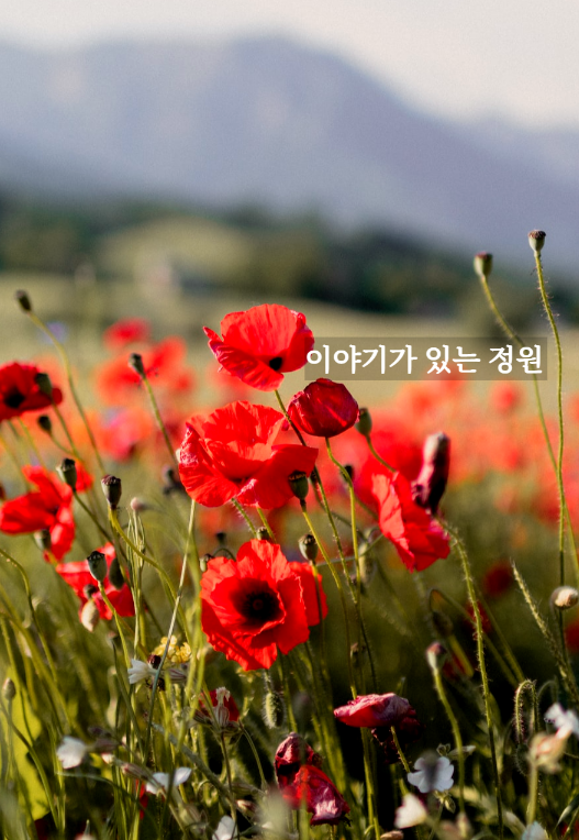 정서 장애①이상 행동 임상심리학과 정서 우울 장애 정신 건강 의학과 의사 임상 심리 전문가 업무 차이 Dsm 5