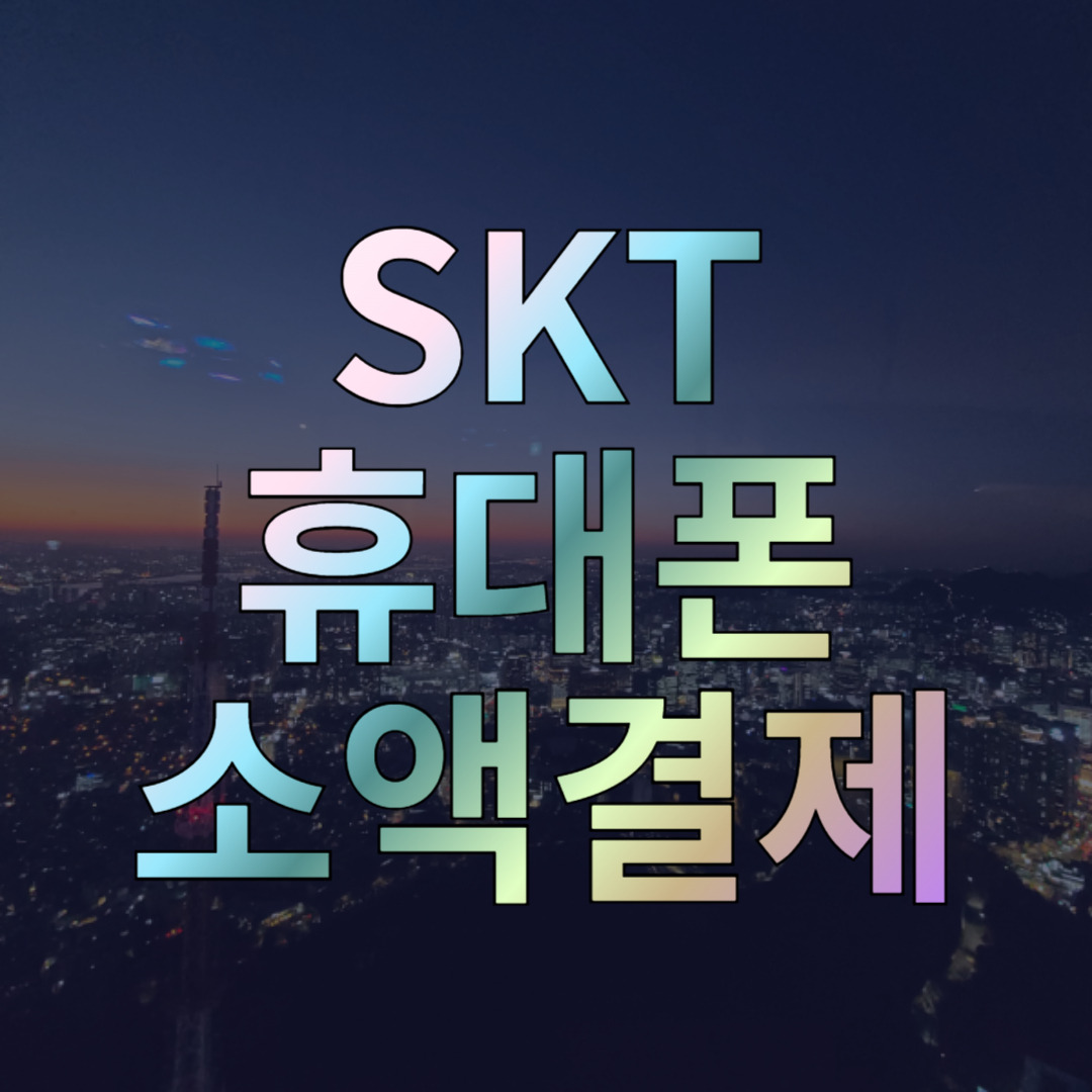 Skt 휴대폰 소액결제 신청방법 해지방법 Skt 휴대폰 소액결제 비밀번호 설정