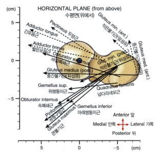 크레이그 검사(Craig's test)[대퇴 전경 테스트]