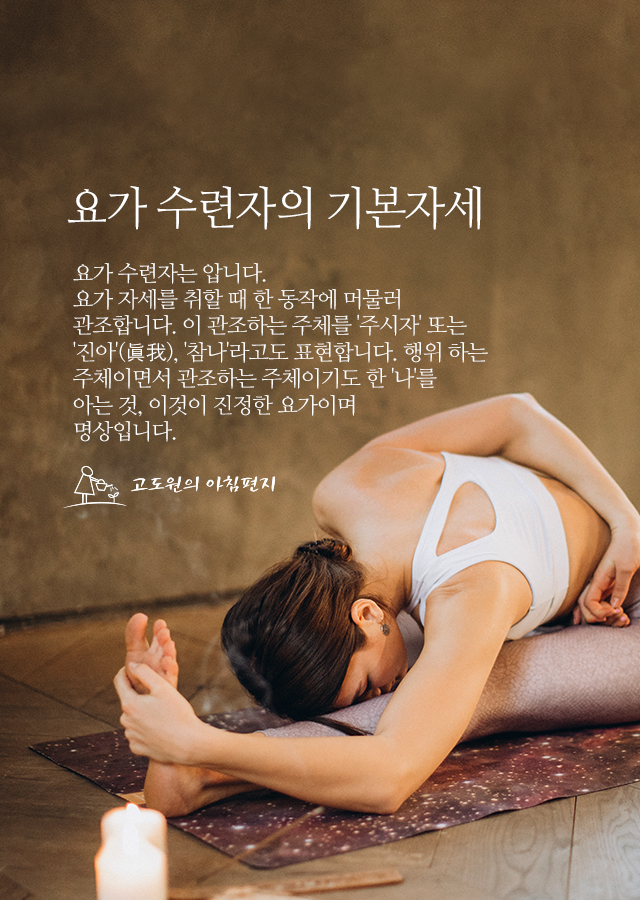 요가 수련자의 기본자세 긍정적 사고 음식의 절제 규칙적인 운동