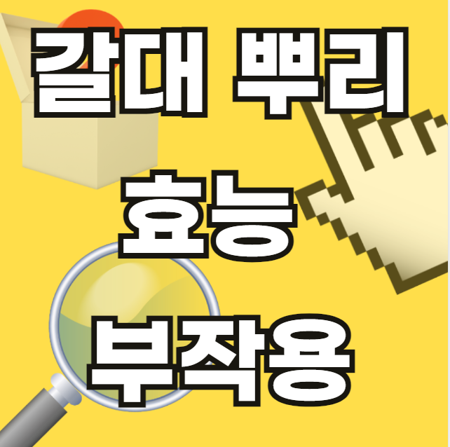 갈대 뿌리 효능 부작용 섭취 부작용 없는 섭취방법 국산 말린 노근 차 복용법