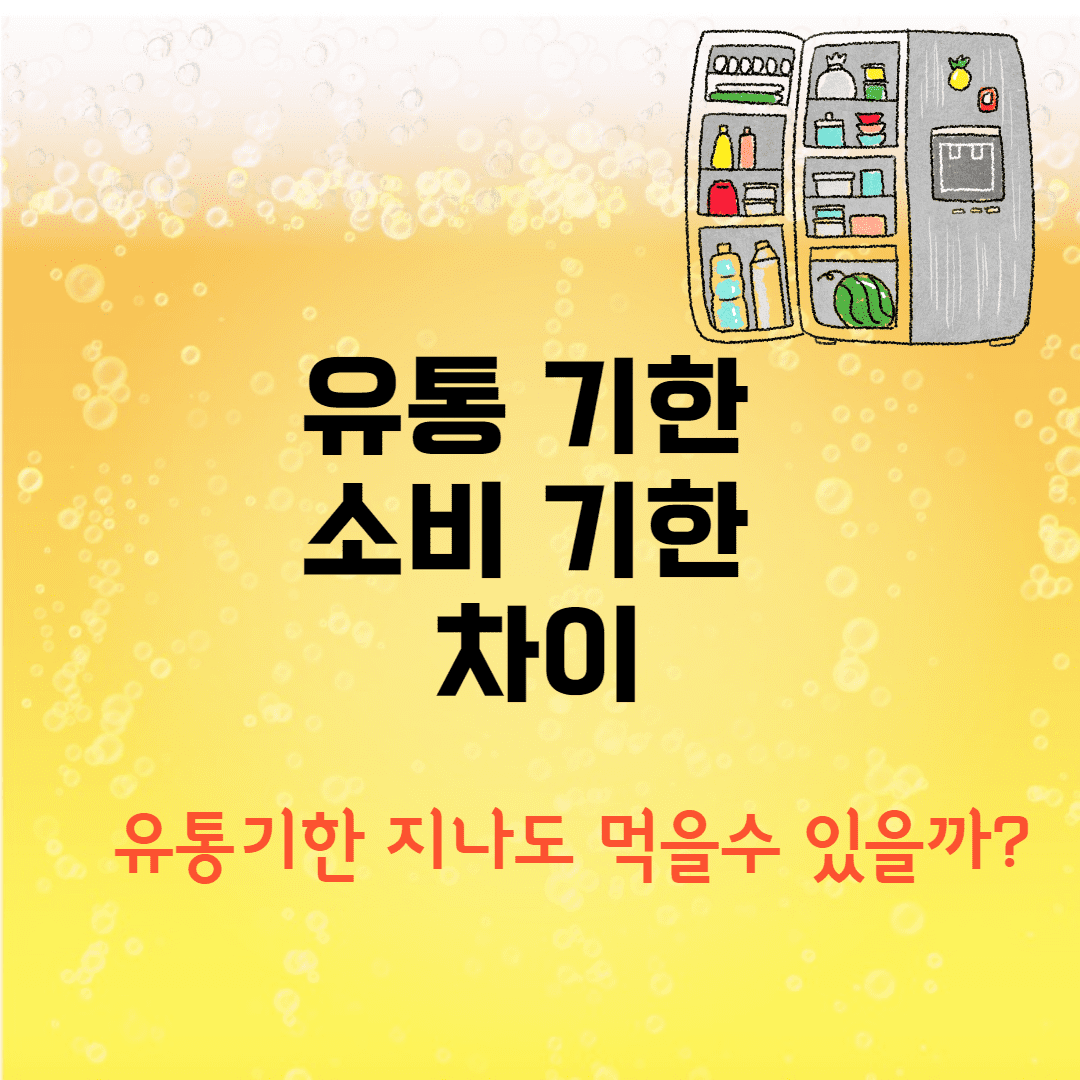 유통기한 소비기한 차이 라면 두부 식빵 우유 요거트 계란 치즈 유통기한 지나도 먹을 수 있나요