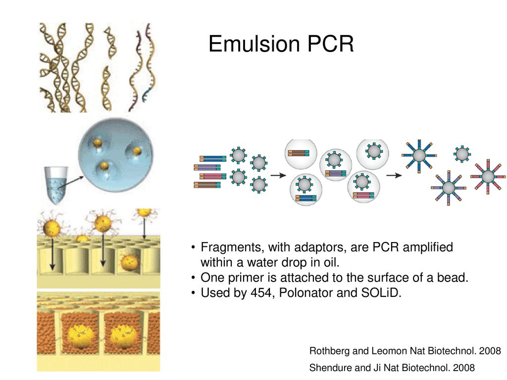NGS (Next Generation Sequencing)의 개념, 원리, 방법, 적용 분야