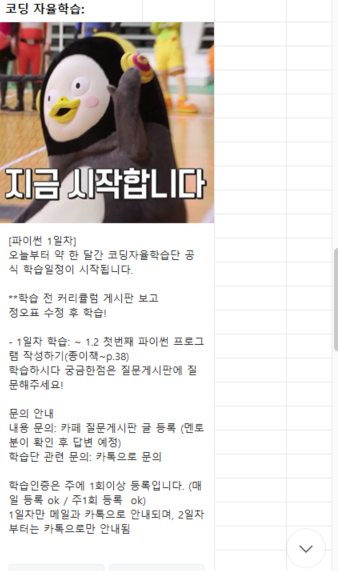 [코딩자율학습단 6기] 파이썬입문 Day1 한 페이지가 될 수 있게