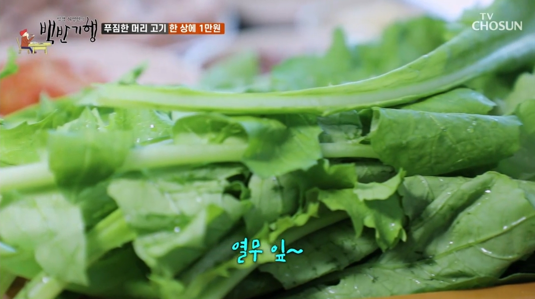 식객 허영만의 백반기행 전남 강진 편 돼지 머리고기 메추리구이 맛집 정보 음식점 정보 탐진대중음식점