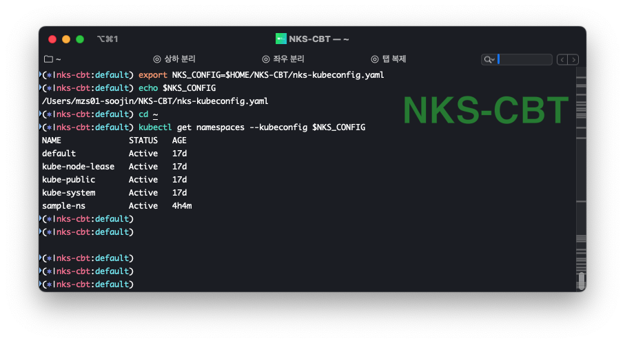 NKS 접속 가이드