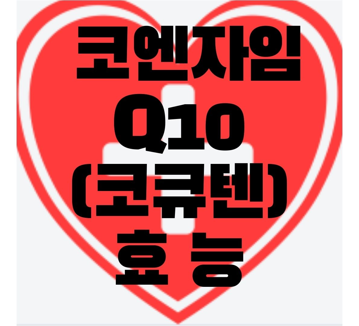 코엔자임 Q10코큐텐 효능과 부작용 복용시간 완벽 정리