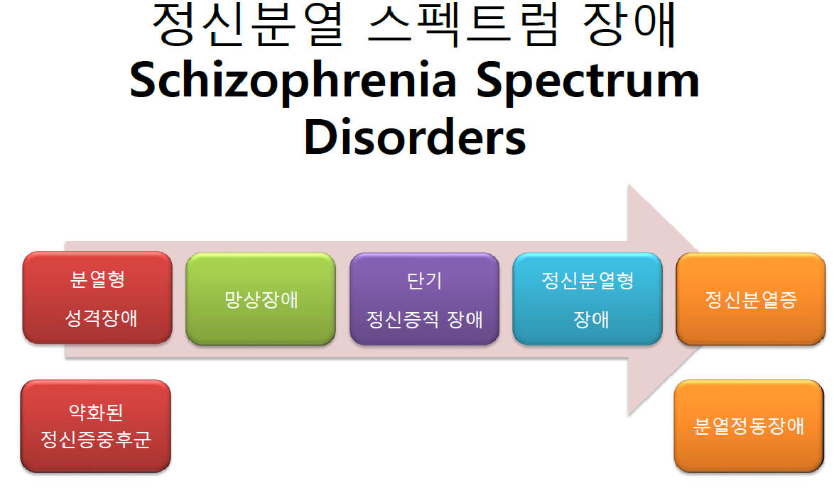 Dsm 5 정신분열 스펙트럼장애 1 조현병정신분열증에 대해 알아봅시다