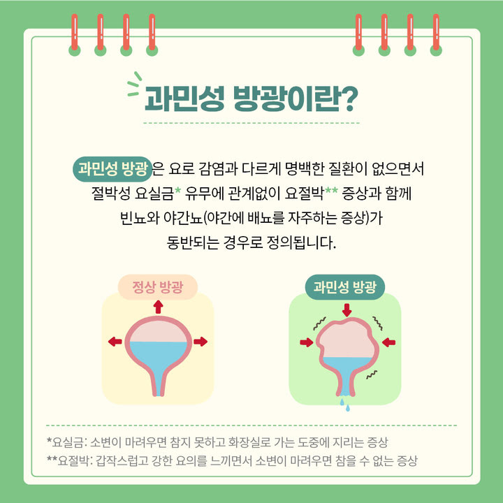 베타미가 서방정 25mg 50mg 효과 부작용 오랜 기간 복용해도 되나요 약사 총정리