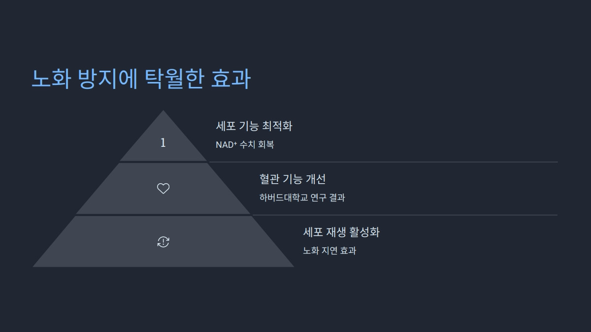 Nmn 영양제 효능 총정리 노화 방지부터 에너지 향상까지