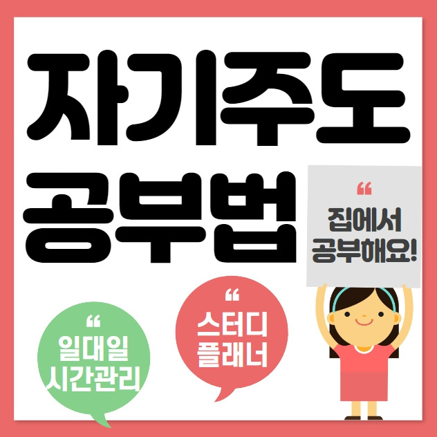 춘천 자기주도학습 과외 플래너컨설팅 춘천 공부컨설팅 11 일대일 수행평가 공부계획 스터디플래너