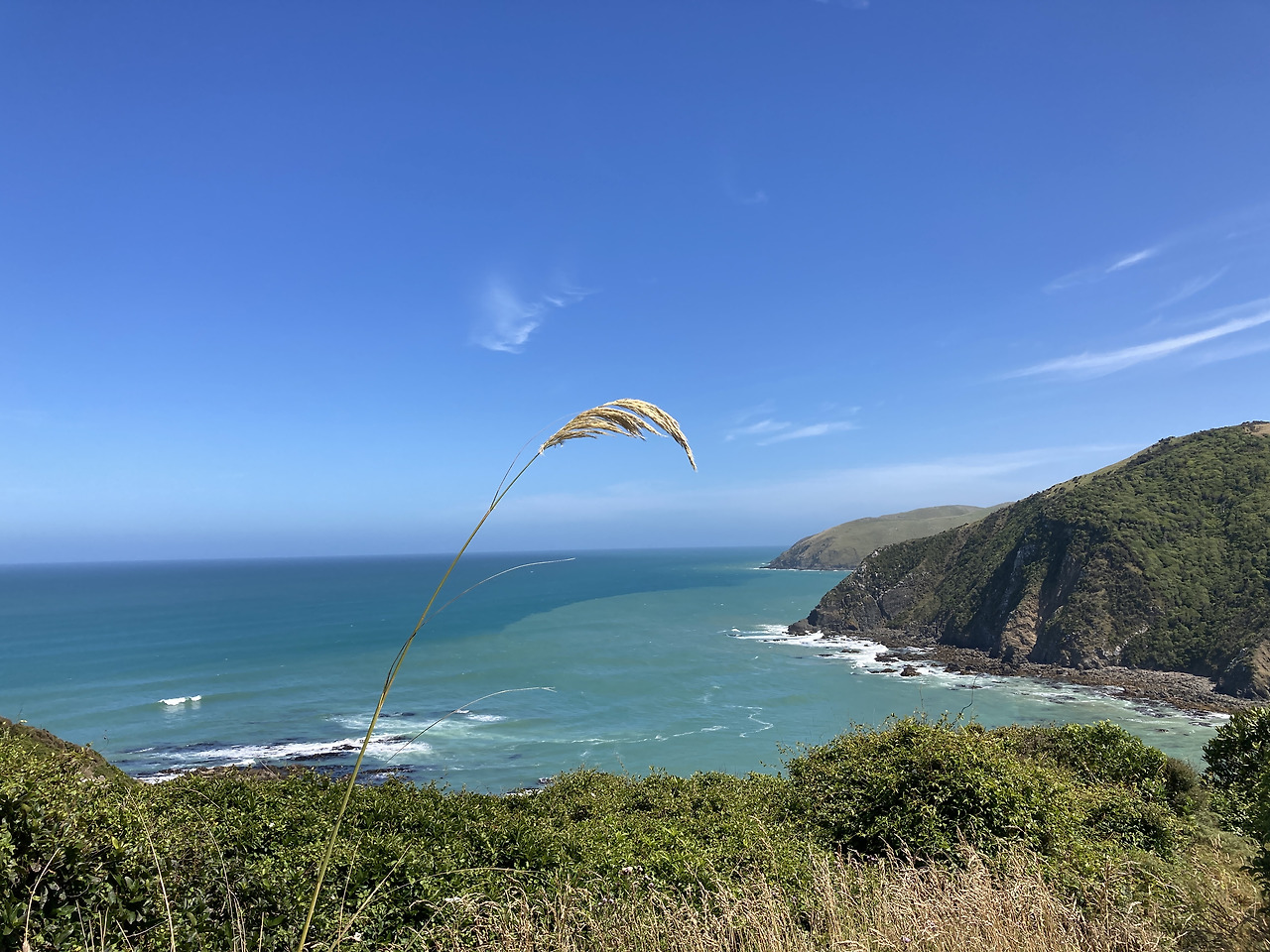 오션뷰의 끝판왕 너겟 포인트 Nugget Point 소름주의 뉴질랜드 남섬