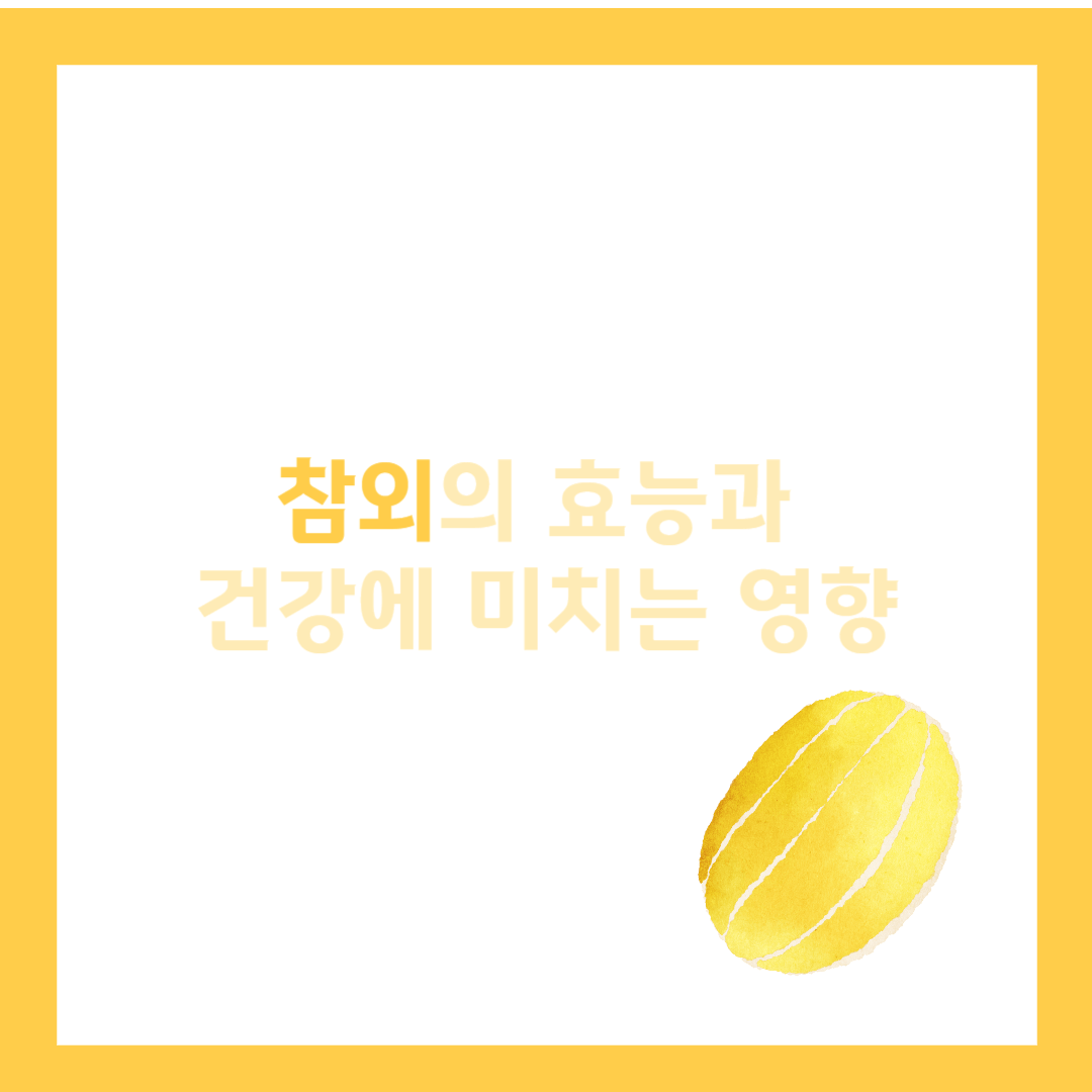 참외의 건강 이점 다이어트 눈 건강과 면역력 강화의 상큼한 여름 과일