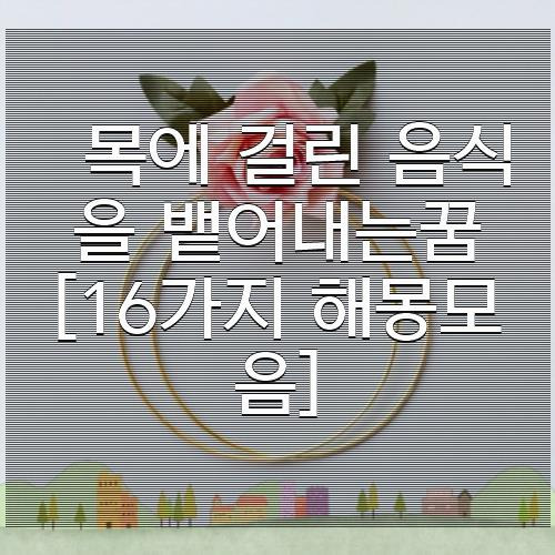 목에 걸린 음식을 뱉어내는꿈 16가지 해몽모음