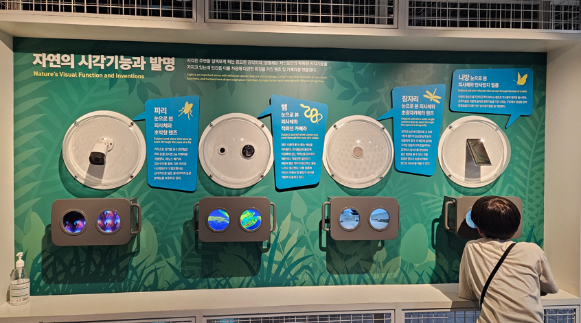 경주 아이들과 함께 실내 가볼만한곳 발명체험교육관 예약 주차 관람 정보