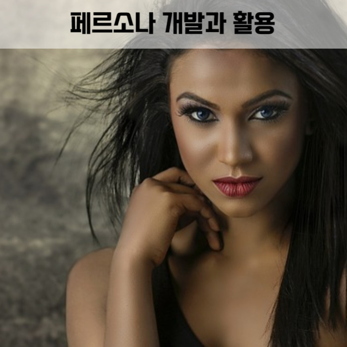 마케팅 페르소나 Persona 개발과 활용 고객을 파악하고 성공적인 마케팅 전략을 구축하는 핵심 요소