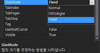 WinForms ] GroupBox, Panel, TabControl 속성