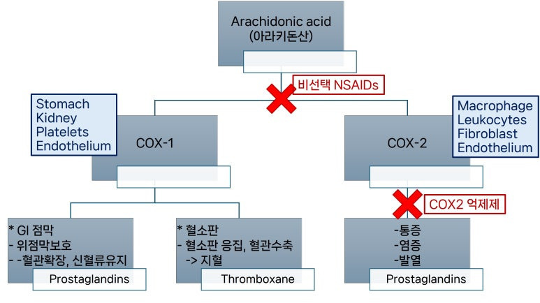 Nsaids비스테로이드성 항염증제의 작용기전 효과 부작용