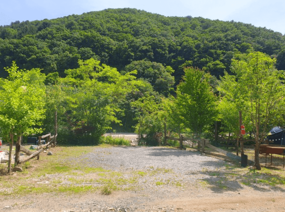 경기 포천 산아래캠핑장 예약 방법 애견 동반 가격 주소 시간 후기 댕댕캠핑 전국 애견동반 캠핑장