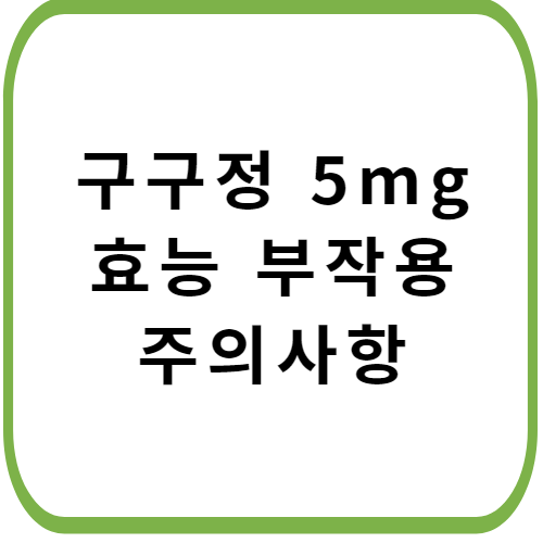 구구정 5mg 가격 성분 효능 부작용 복용법 및 주의사항을 확인합시다