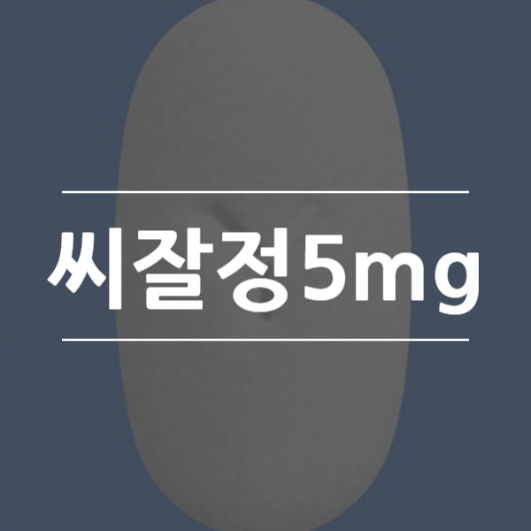 씨잘정5mg 성분정보 및 효능효과 부작용 및 주의사항