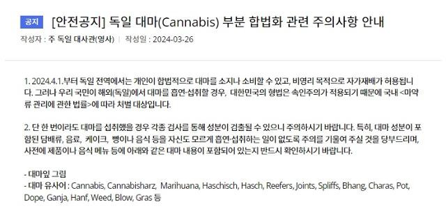 독일 대마초마리화나 부분 합법화 합법 국가 미국·캐나다·태국 등 총 10개국으로 늘어나