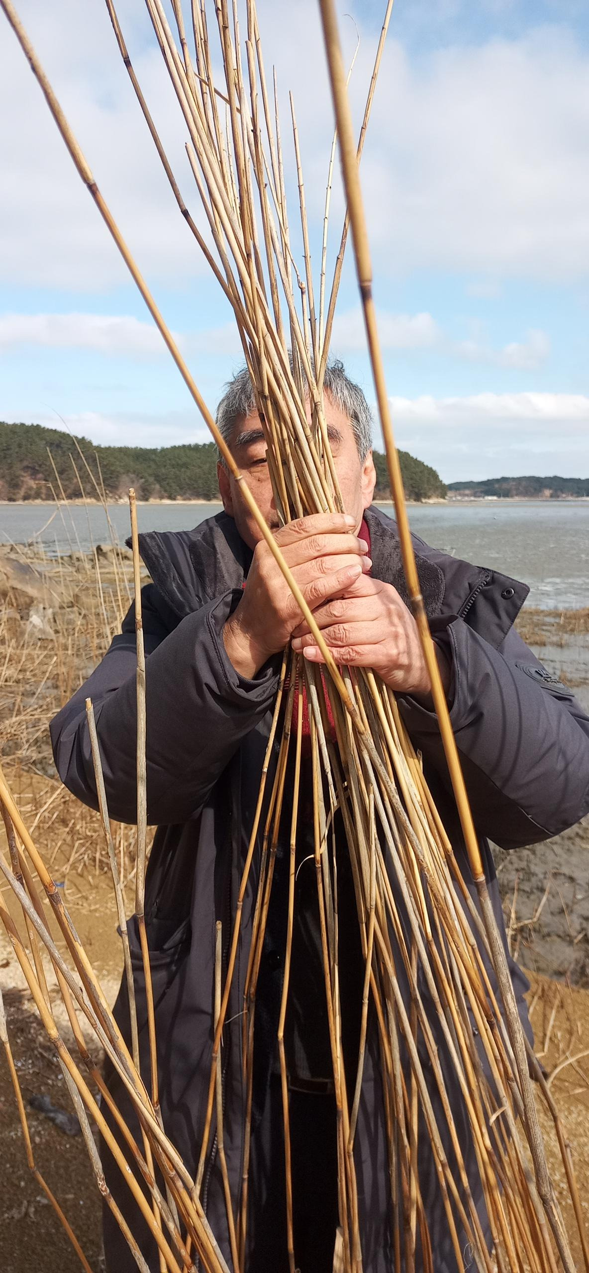 겨울 갈대로 인물가리기 (Covering a person with winter reeds), 2024