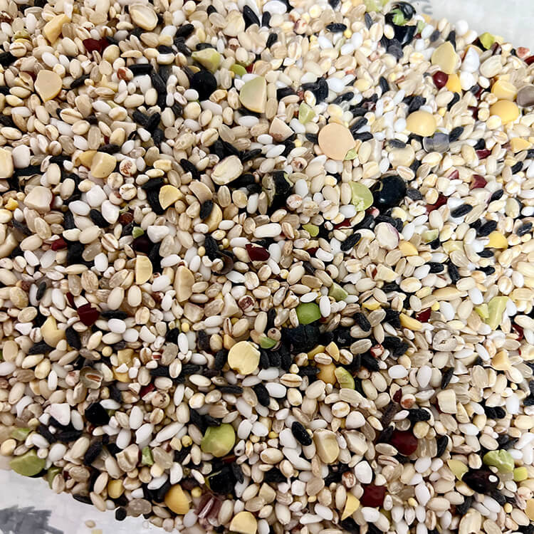 잡곡밥 황금비율로 맛있게 만드는 방법