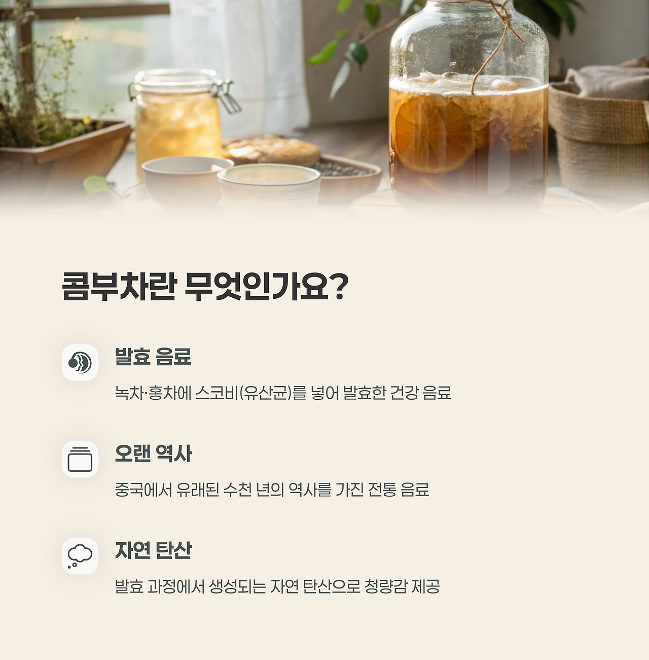 콤부차 효능 부작용 칼로리 카페인 영양성분 하루 섭취량 먹는법 총정리