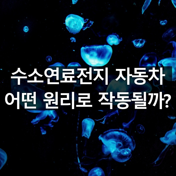 수소연료전지 자동차 어떤 원리로 작동될까 수소전기차 작동 원리