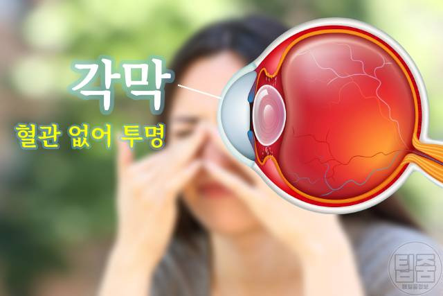 눈 따갑고 눈물 안구건조증 해결 이렇게 하세요 눈뻑뻑함 이물감 눈건조증 원인