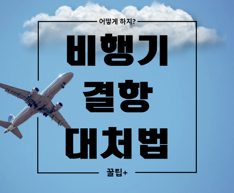 제주 비행기 결항 정보 대처 방법 8가지제주도 날씨 결항 확인 항공권 환불 꿀팁 렌터카 환불팁 폭우 폭설 태풍 강풍