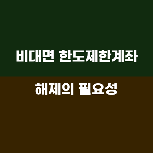 Sc제일은행 비대면 한도제한계좌 해제 방법 안내