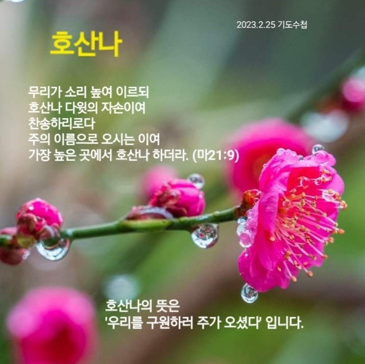 호산나 몬테소리 치유센터