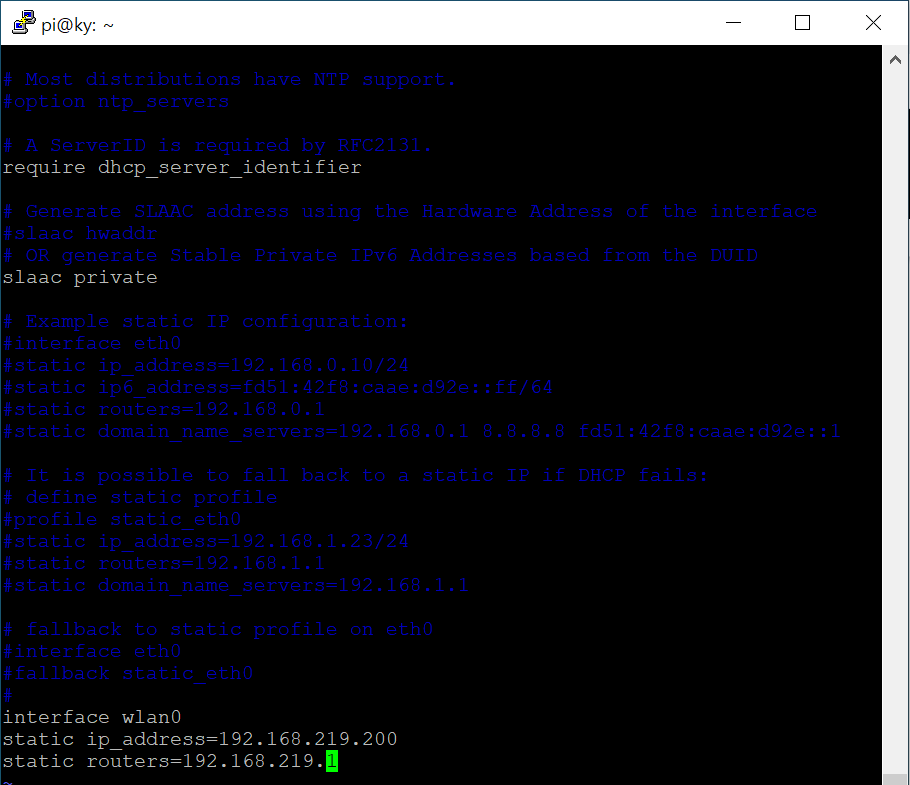 Raspberry Pi 라즈베리파이 고정 Ip 설정하기