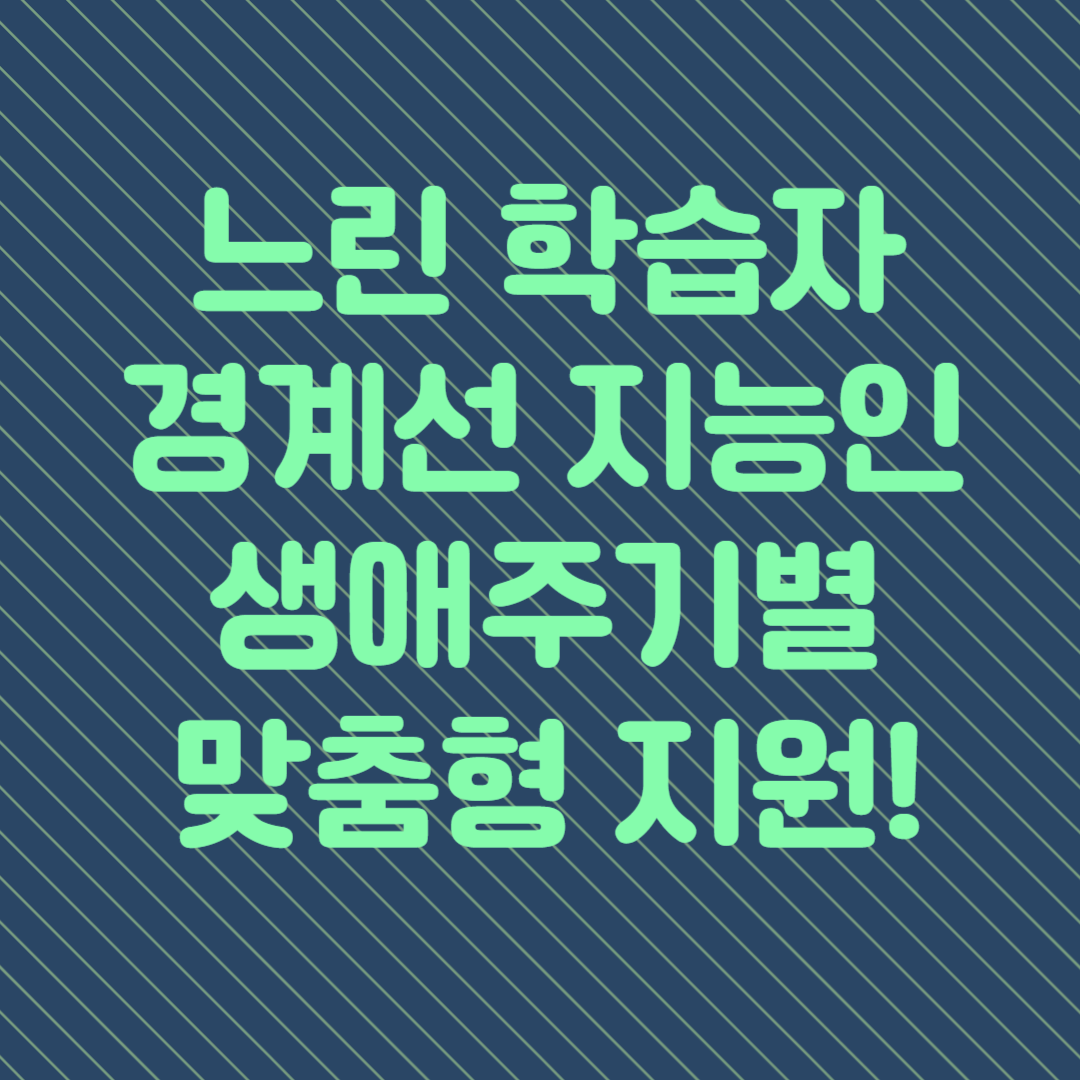 느린 학습자 경계선 지능인 진단 도구 개발 생애주기별 맞춤형 지원