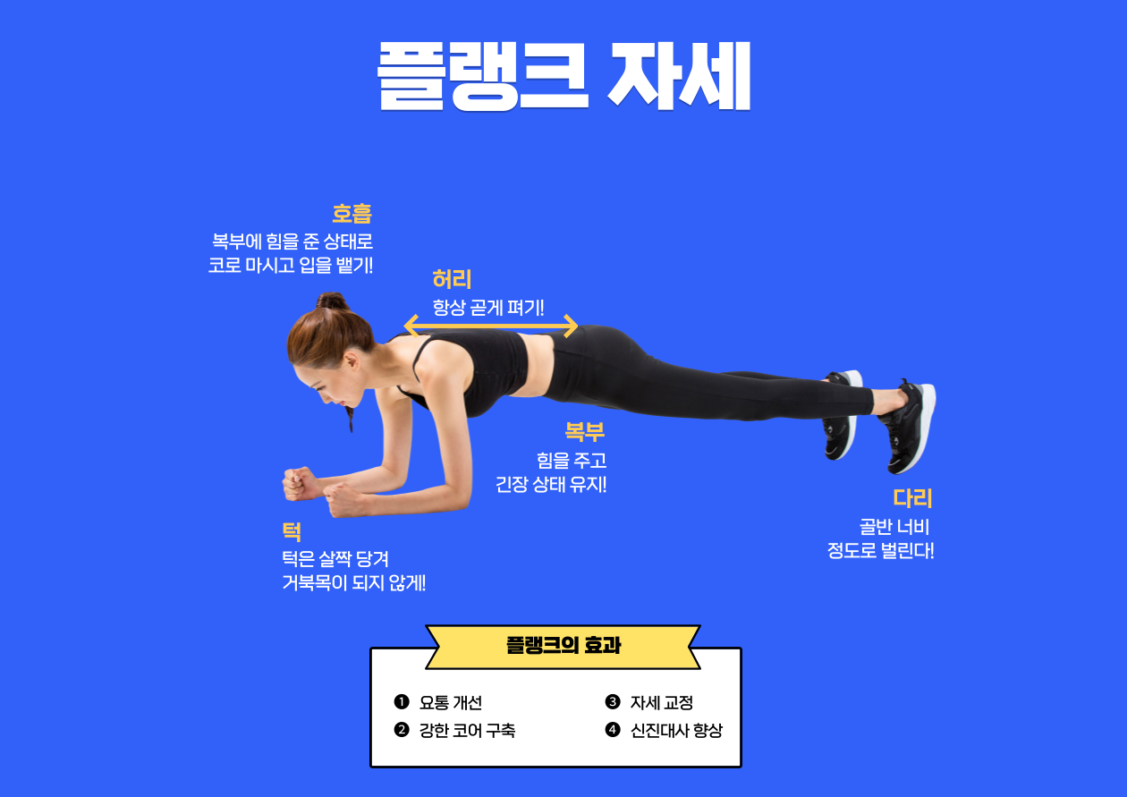 플랭크 자세와 운동 효과 제대로 보는 방법