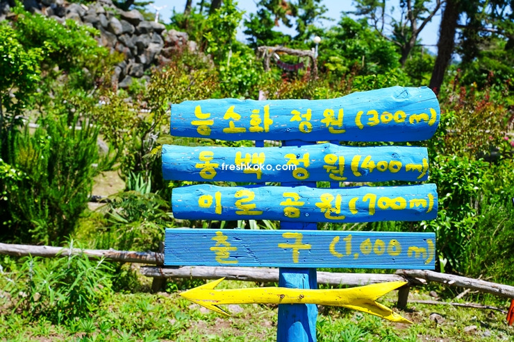 7월에 가볼만한 국내 여행지 베스트10 추천
