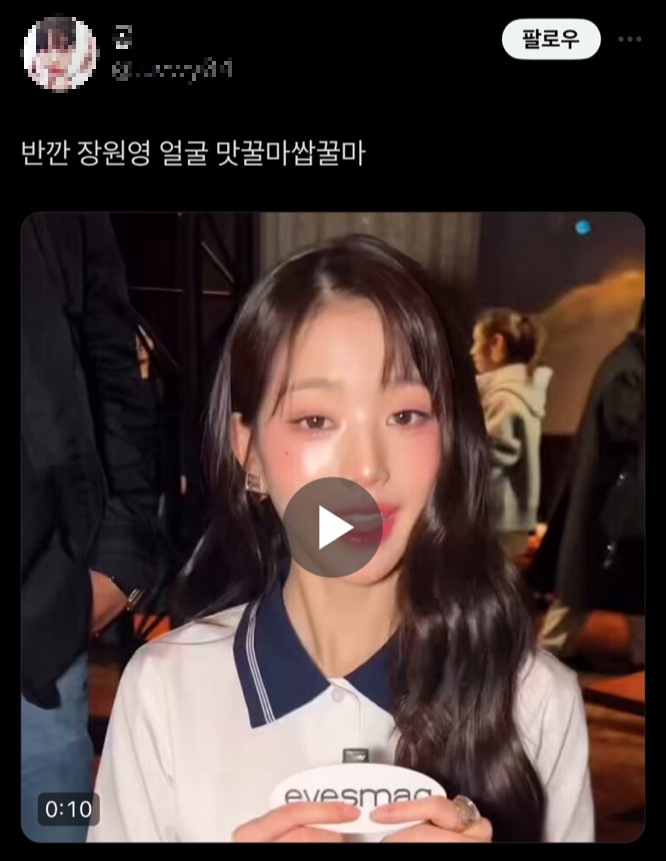 [월간 2024밈] 3월 편 - 국가권력급 밈 모음집 HSAD 공식 블로그 HSADzine